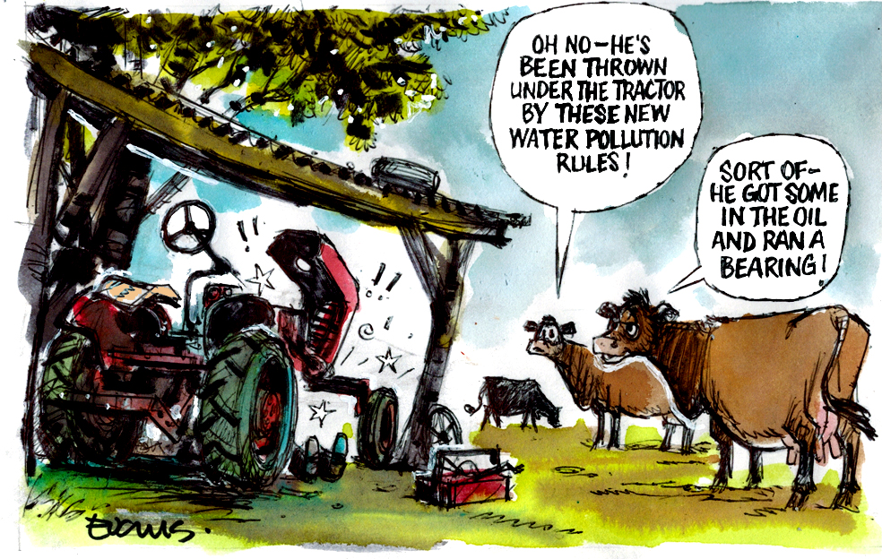 Evans Cartoons